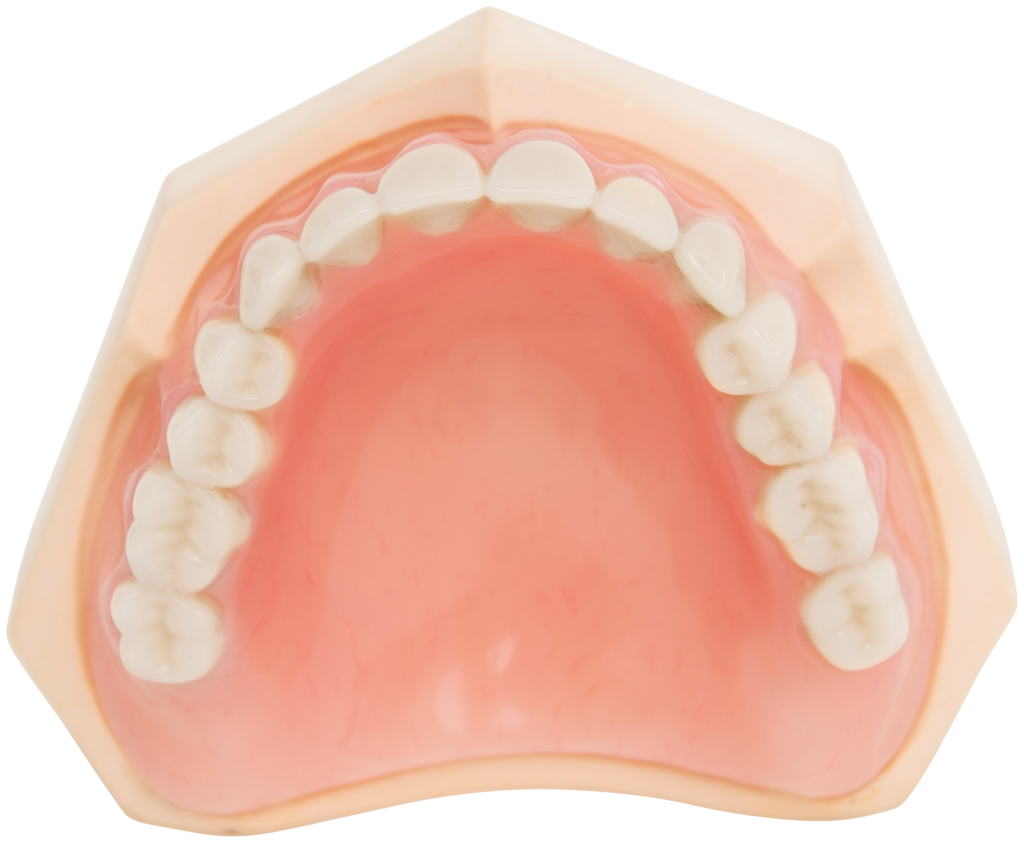 Dentures In Stourbridge | West Midlands | Norton Dental